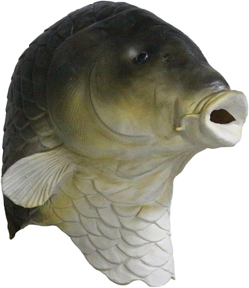 Create a Fish Tastiness Tier List - TierMaker