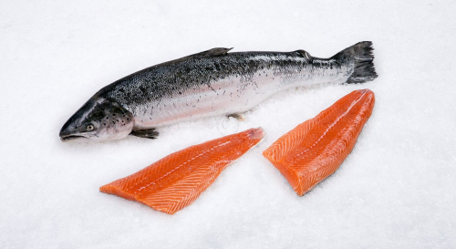 Create a Fish Consumption Tier List - TierMaker