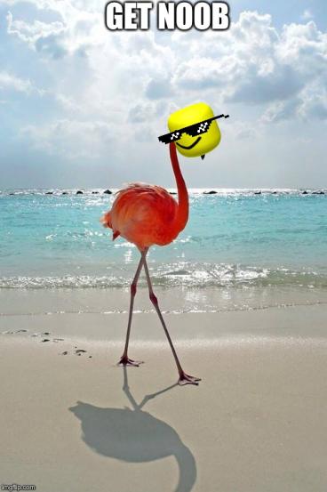 Flamgo Tier List (Community Rankings) - TierMaker