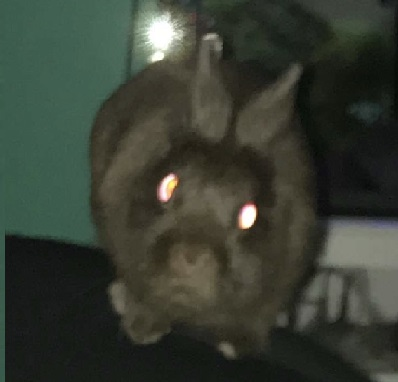 Create a FLAVOUR TIME Tier List - TierMaker