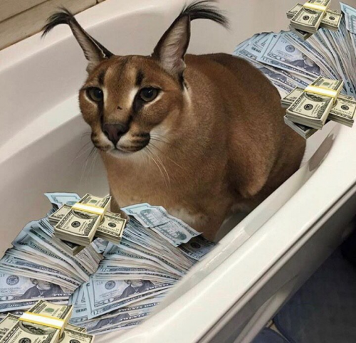 Create a Floppa Lore Characters Tier List - TierMaker