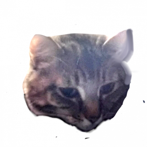 Create a fnaf tire lsit Tier List - TierMaker