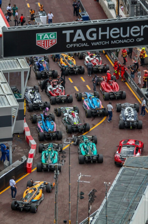 Create a Formula 1 Mer Breeds Tier List - TierMaker