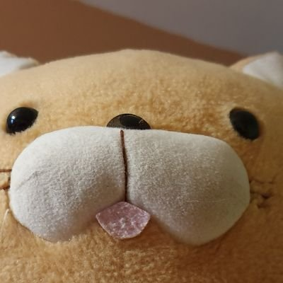 Create a French Board Tier List - TierMaker