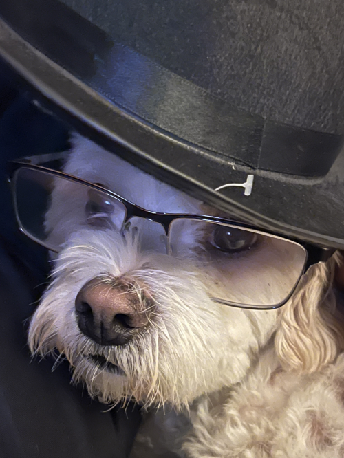 friends tierlist Tier List (Community Rankings) - TierMaker