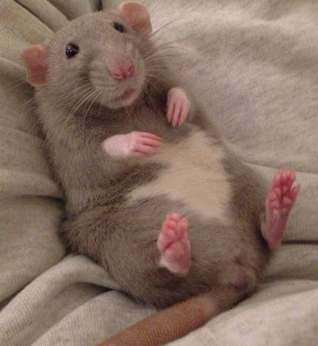 Friends Vs Friends Tier List (Community Rankings) - TierMaker