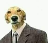 Create a FTC Developers Tier List - TierMaker