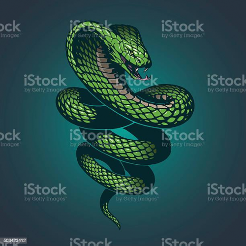 Create a Funny Tier List - TierMaker