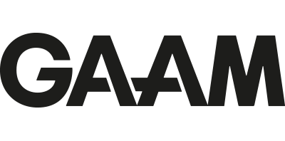 Create a GAAM Tier List - TierMaker