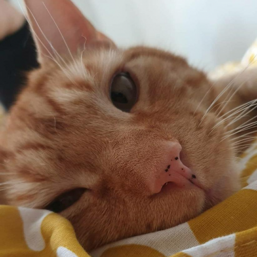 Create a Game relationship Tier List - TierMaker