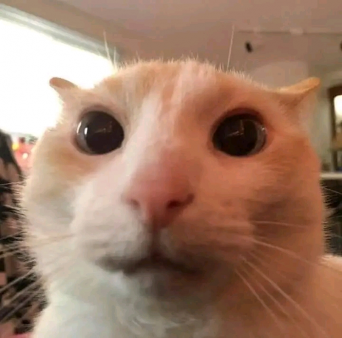 Games where you can defeat enemies with your hat Tier List (Community ...