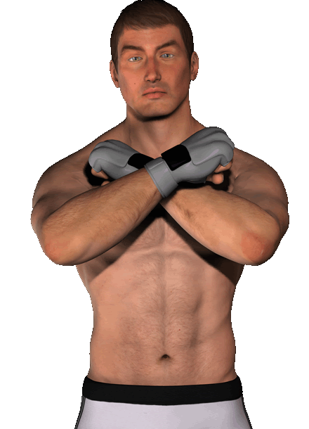 Create a GAMMA Light Heavyweight Fighters Tier List - TierMaker