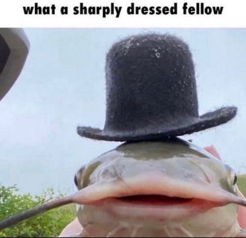 Create a Gather Alignment Chart Tier List - TierMaker