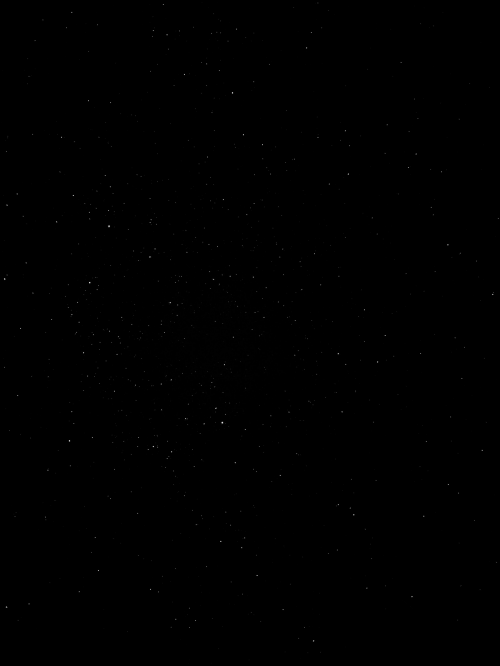 gen z Tier List (Community Rankings) - TierMaker