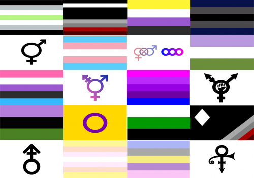 gender Tier List (Community Rankings) - TierMaker