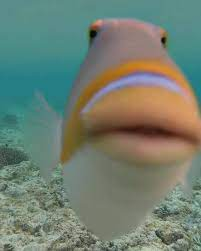 Geometry dash Tier List (Community Rankings) - TierMaker