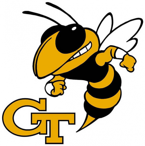 Create a Georgia Tech CHBE Faculty Tier List - TierMaker