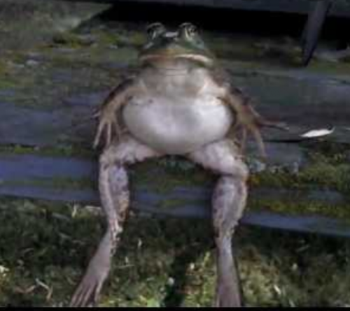 GG games Tier List (Community Rankings) - TierMaker