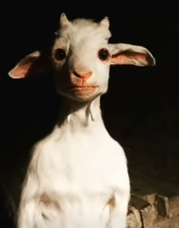 Create a Ghouler Tier List - TierMaker