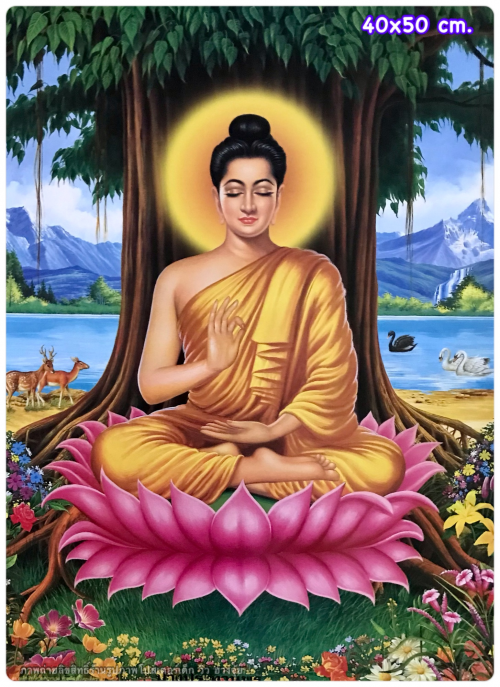 Create a God Tier List - TierMaker