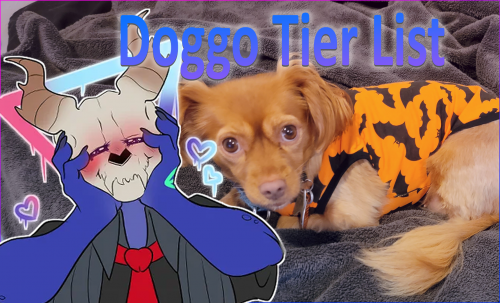 Good Doggo Tier List (Community Rankings) - TierMaker