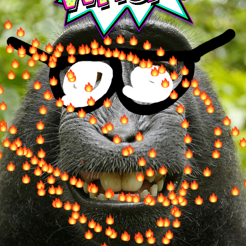 Create a Good pictures Tier List - TierMaker