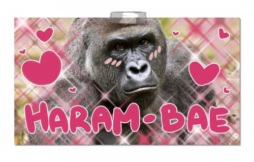 Gorillas for Go Ria Tier List (Community Rankings) - TierMaker