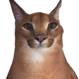 GPO UPDATE 4 FRUIT VALUES Tier List (Community Rankings) - TierMaker