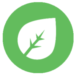 Grass Pokemon Final Evolution Tier List (Community Rankings) - TierMaker