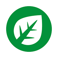 Create a Grass Type Starters (full evo+gen 9+Mega+Gmax Tier List ...