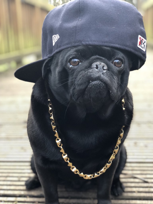 Gregi´s Anime Ranking Tier List (Community Rankings) - TierMaker