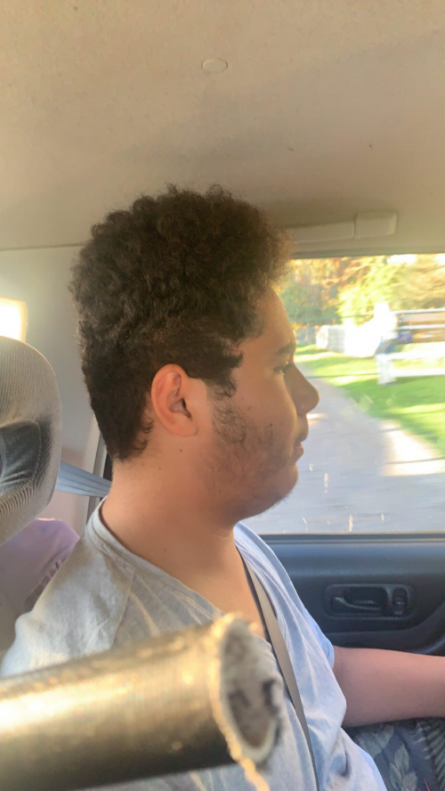 Gregor Chronicles Tier List (Community Rankings) - TierMaker