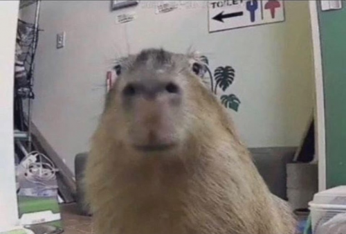 Grov St. Valorant Tier List (Community Rankings) - TierMaker