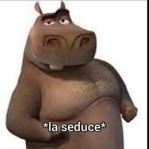 Create a Gustos cuestionables Tier List - TierMaker