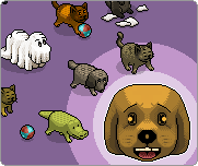 Create a Habbo Pets Tier List - TierMaker