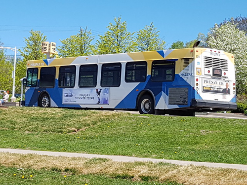 Create a Halifax transit bus Tier List - TierMaker