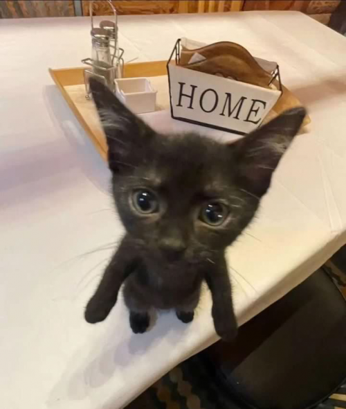 Holidays Tier List Templates - TierMaker