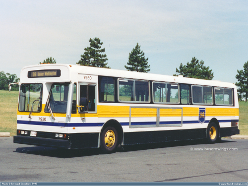 Create a Hamilton Street Railway Buses Tier List - TierMaker