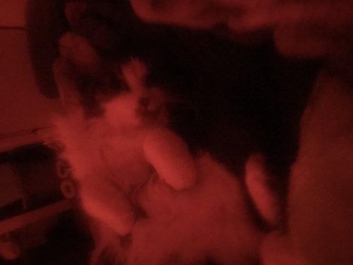 Create a Height Tier List - TierMaker