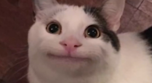 Create a HMs favorite characters Tier List - TierMaker