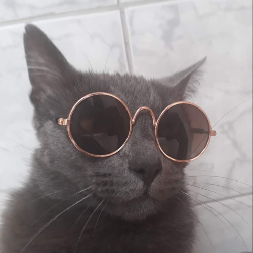 hombres cis que nos generan menos a mas impulsos violentos Tier List ...