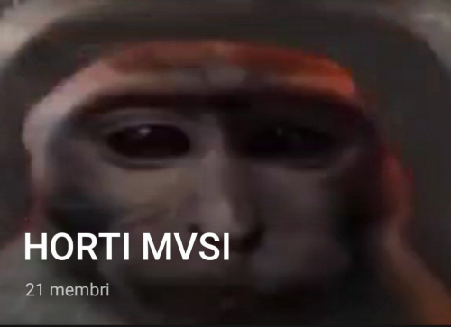 Horti Mvsi Tier List (Community Rankings) - TierMaker