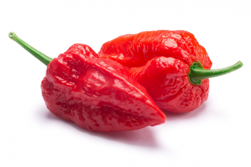 Create a Hot Peppers Tier List - TierMaker