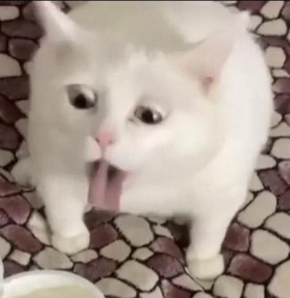 Hours Host tierlist Tier List (Community Rankings) - TierMaker