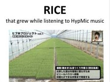 Create a hpmi hypmic hypnosis mic hypnosis microphone Tier List - TierMaker