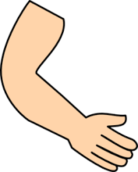 Human Flesh Tier List (Community Rankings) - TierMaker