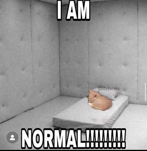 Create a hyperfixation ships Tier List - TierMaker