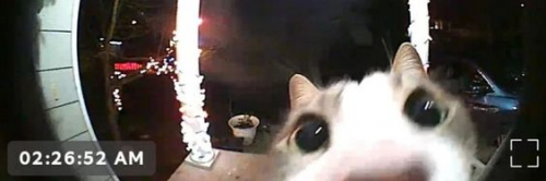 Create a Iceberg twt Tier List - TierMaker