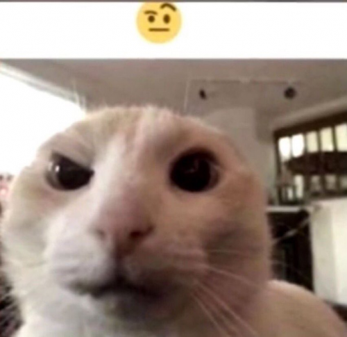 Create a Idolish7 Zool Songs (updated as of April 2023) Tier List ...