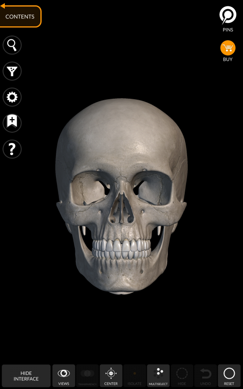 Create a I'm built different Tier List - TierMaker